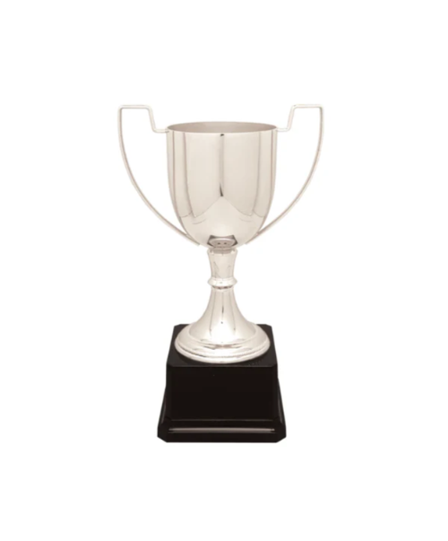 Completed Zinc Cup Trophy on Plastic Base – Gleam & Glory